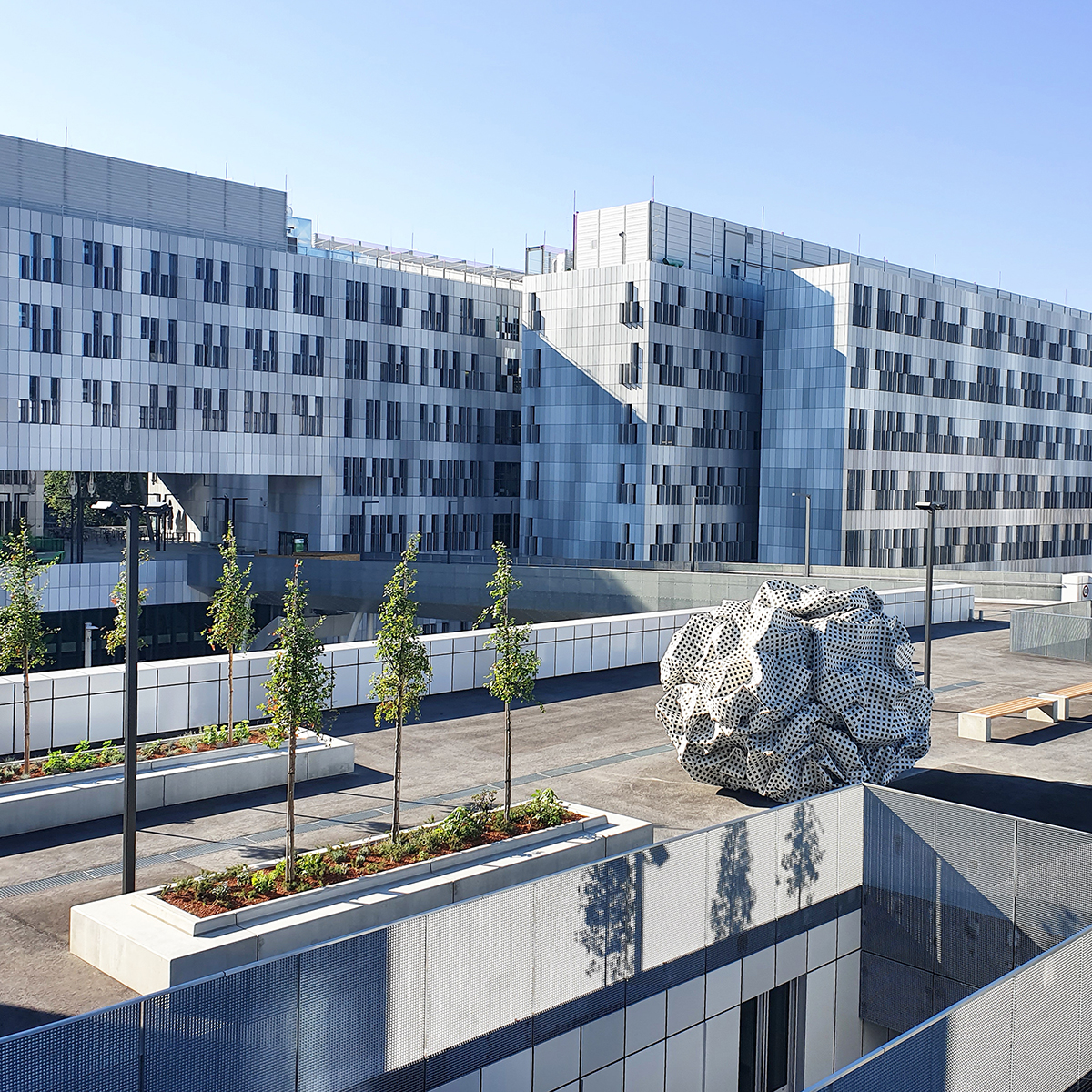 Hygiene, Microbiology and Environmental Medicine